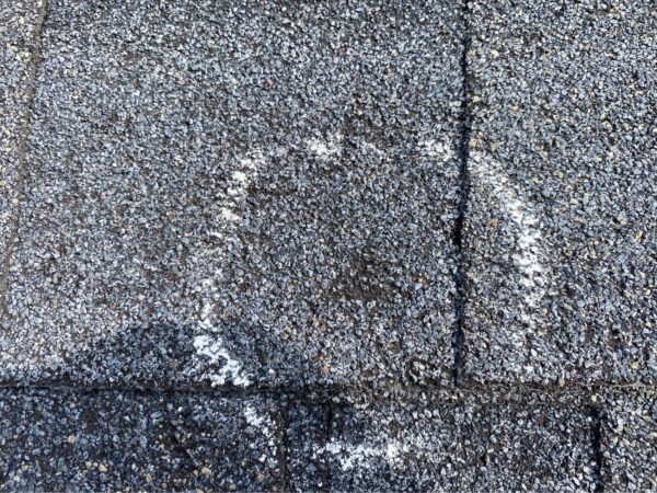 Shingle Blistering vs. Hail Damage: A Guide for Insurance Adjusters ...