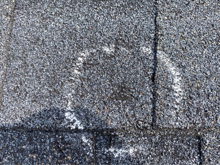 Shingle Blistering vs. Hail Damage: A Guide for Insurance Adjusters ...